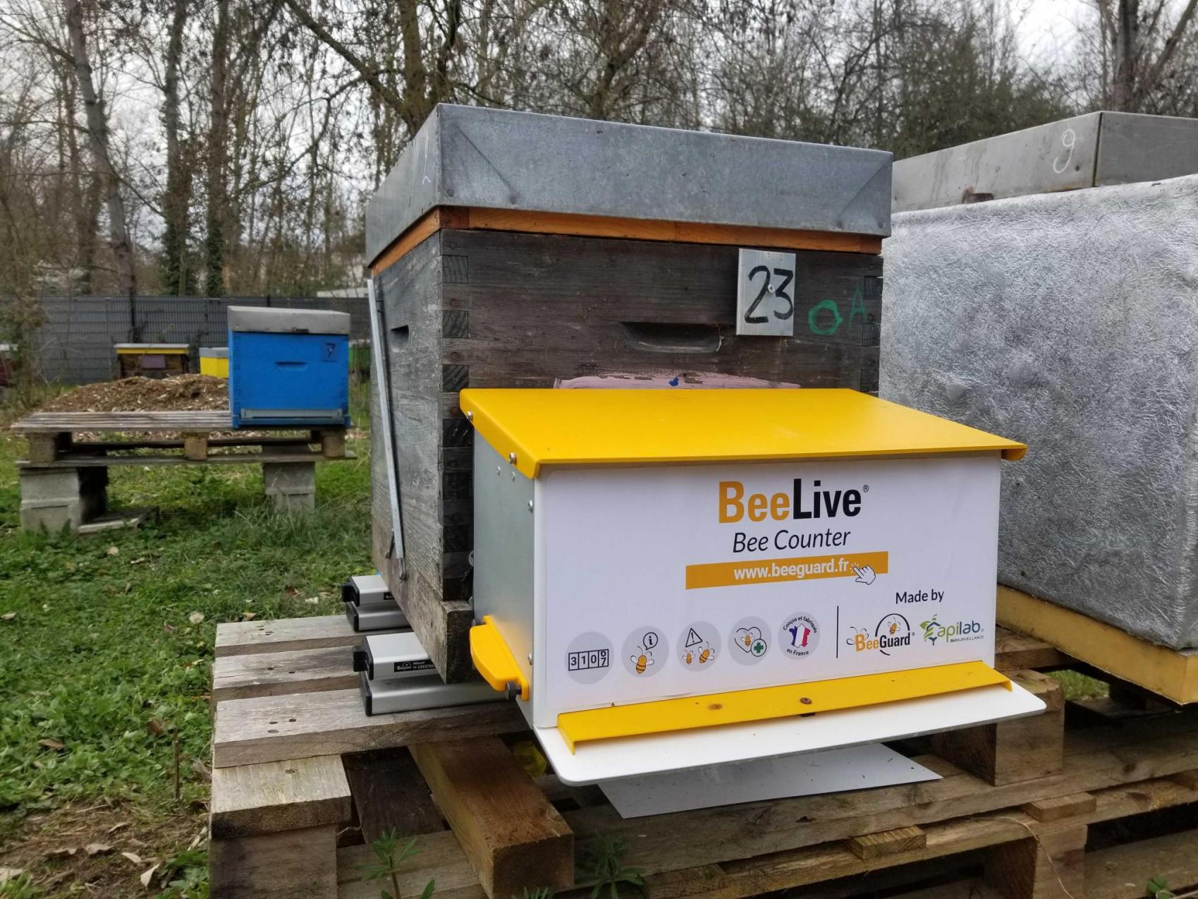 Le label BEE FRIENDY et BeeGuard : une alliance au service des abeilles ...